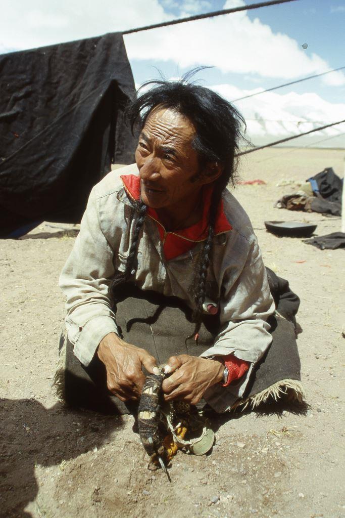 Tibetan lives: Hunting – Pastoralism, Climate Change and Policy