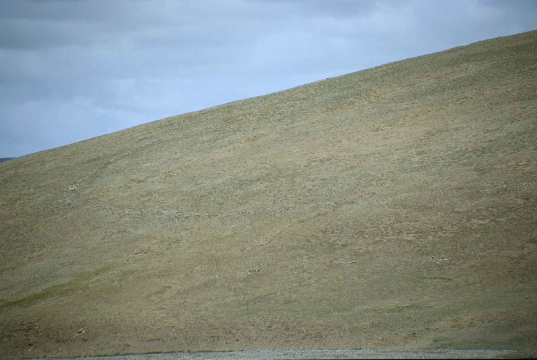 Tibetan lives: Hunting – Pastoralism, Climate Change and Policy